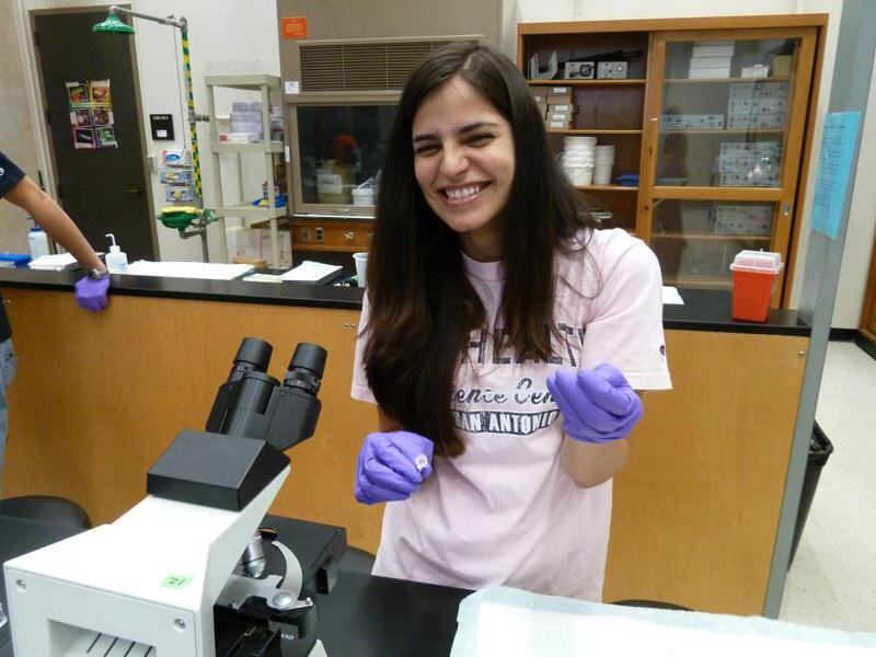 The Pipette Gazette Alumna Dr. Sarah Wong: How I Became A STEM Leader ...