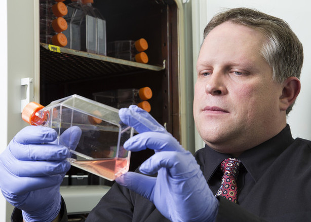 The Pipette Gazette Alum David Bearss in The News - The Pipette Gazette