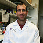 The Pipette Gazette In Press: Joseph Valentine Co-First Author Paper ...